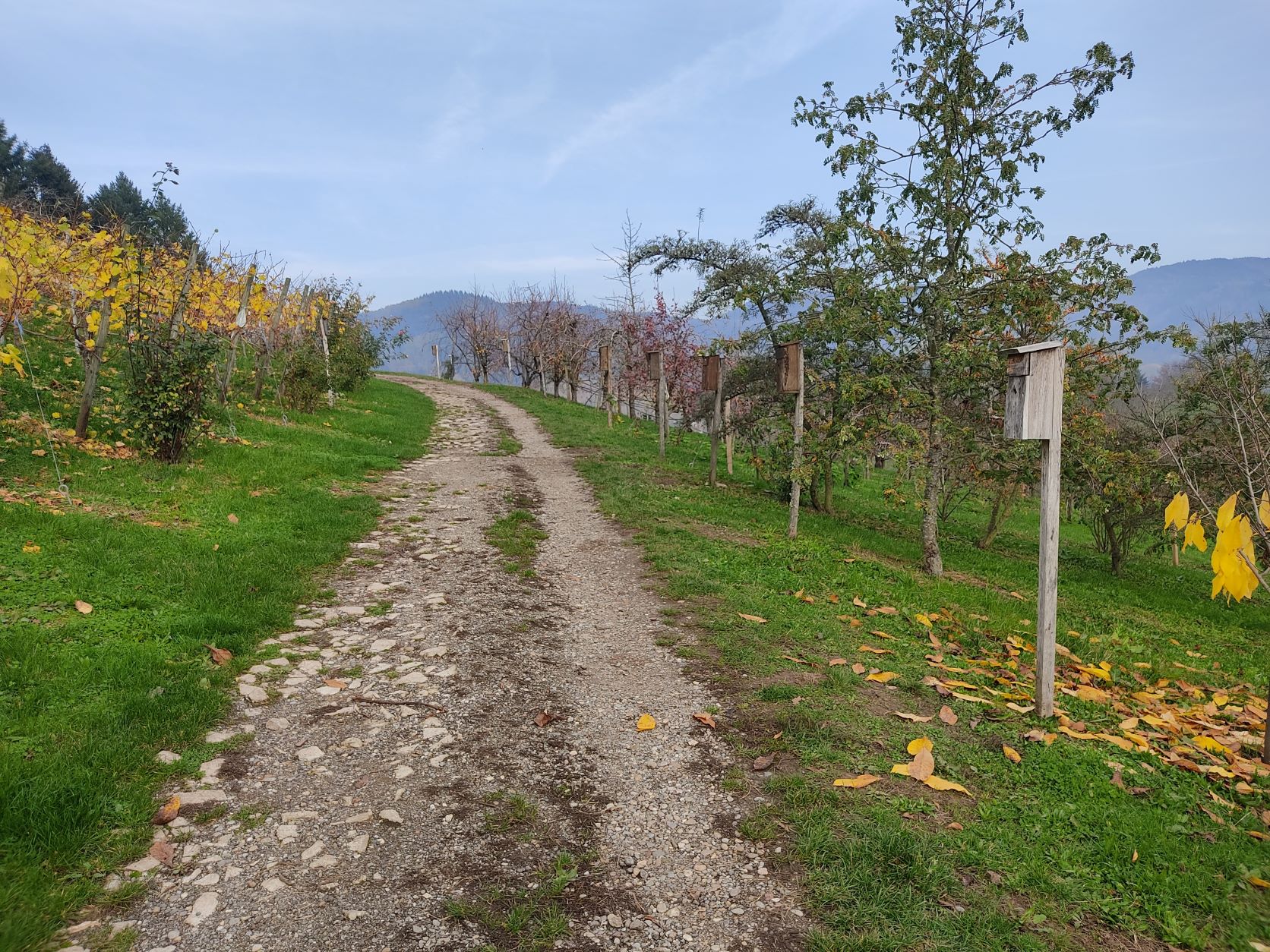 Schnapsbrunnentouren | Geotouren Schwarzwald